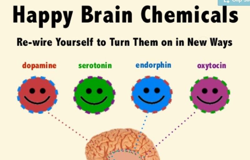 Simon Sinek – Well That Makes Sense